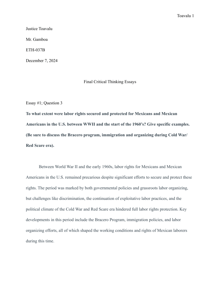 Mexican American Labor Rights & Chicano Movement Essay