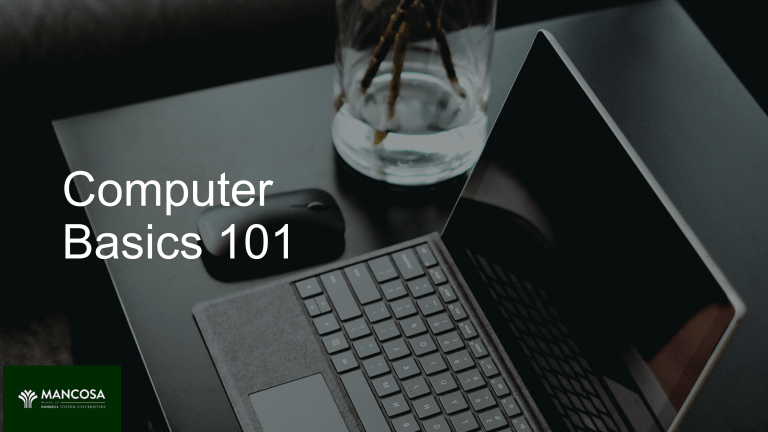 Computer Basics 101: Microsoft Word & Email Setup