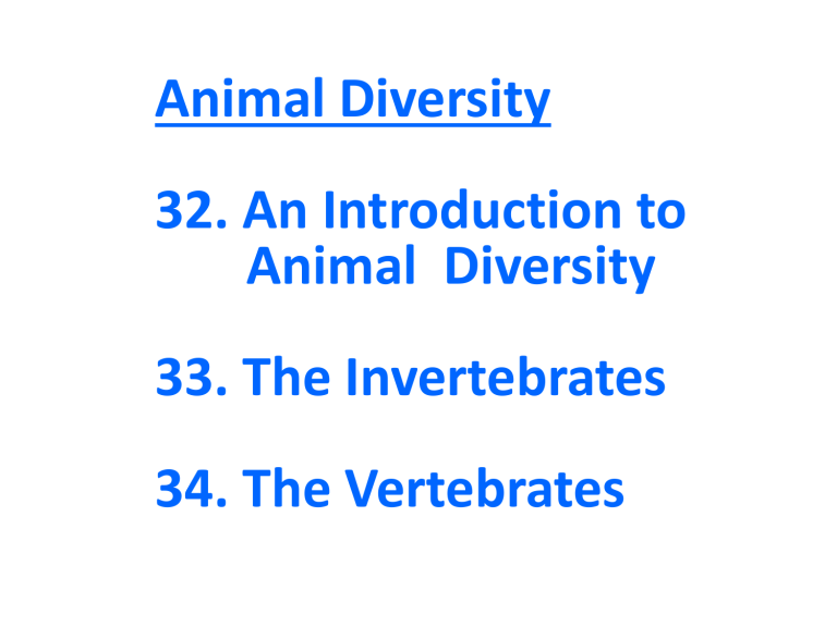 Animal Diversity: Introduction to Invertebrates & Vertebrates