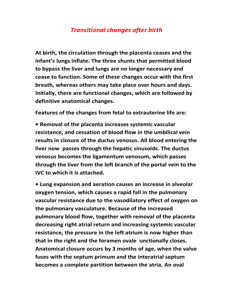 Newborn Transition, CSF, Visual Pathway, Anticonvulsants