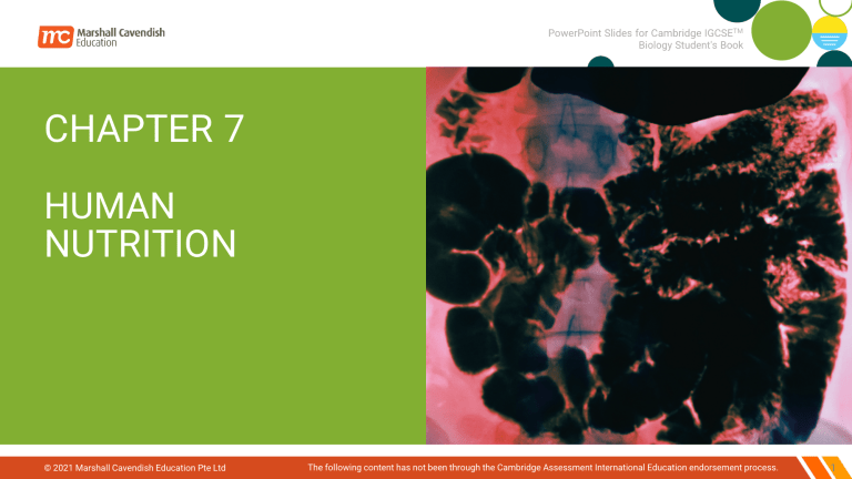 Human Nutrition: IGCSE Biology PowerPoint Slides