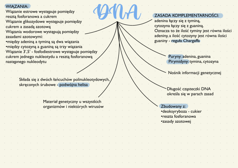 Struktura i wiązania DNA: Kompleksowa mapa myśli