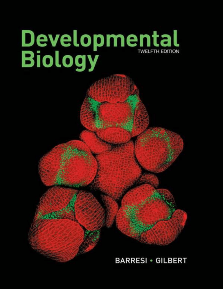 Developmental Biology Textbook: Animal Development & Patterning