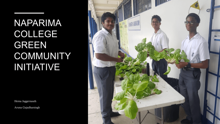 Naparima College Green Initiative: Hydroponics & Sustainability