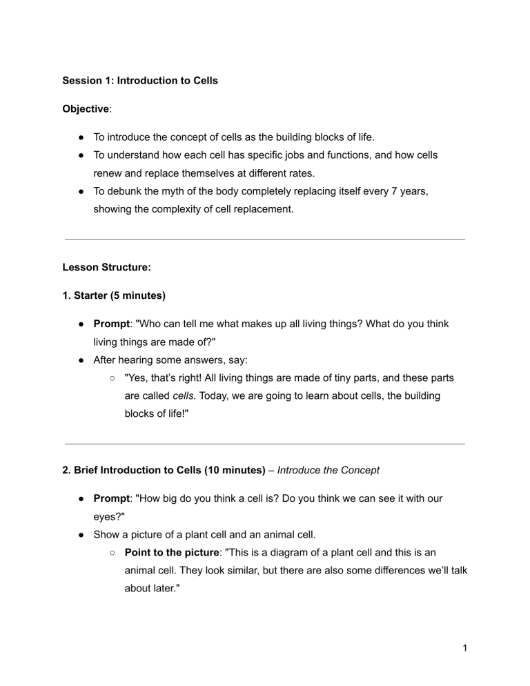 Introduction to Cells: Lesson Plan for Middle School