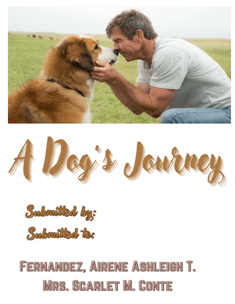 A Dog's Journey Movie Review: Love, Loyalty, and Reincarnation