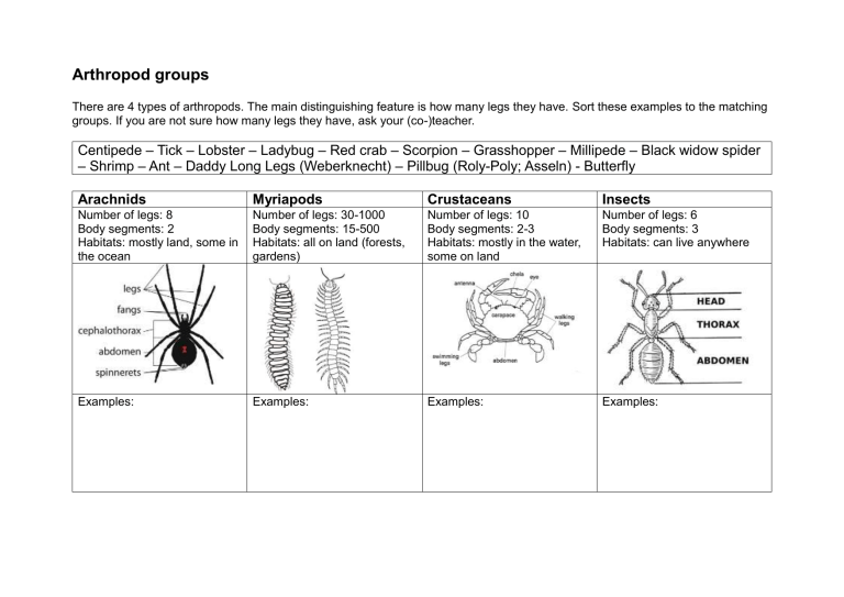 Arthropod Classification Worksheet