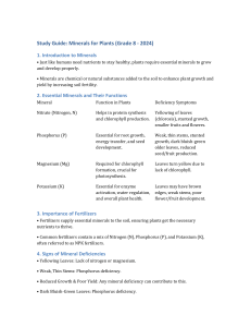 Plant Minerals Worksheet: Nitrogen, Magnesium, Chlorophyll