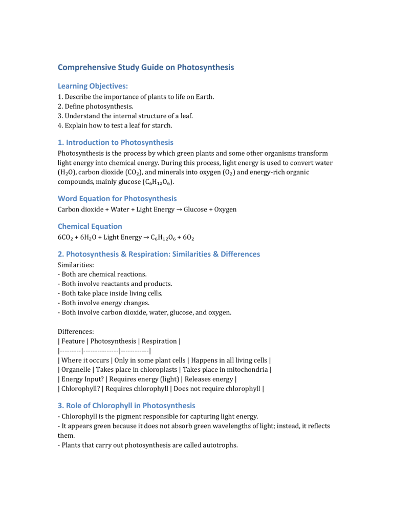 Photosynthesis Study Guide: Process, Chlorophyll, Starch Test