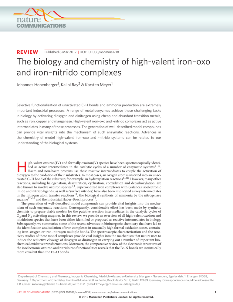 Iron-Oxo & Iron-Nitrido Complexes: Biology & Chemistry