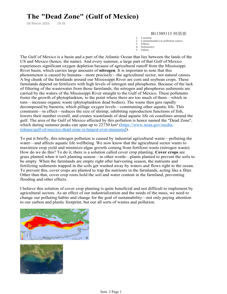 Gulf of Mexico Dead Zone: Causes, Effects & Solutions