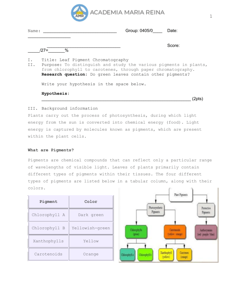 Leaf Pigment Chromatography Lab Worksheet