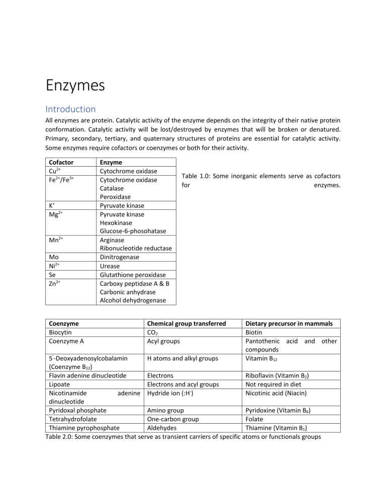 Enzymes: Structure, Function, and Classification