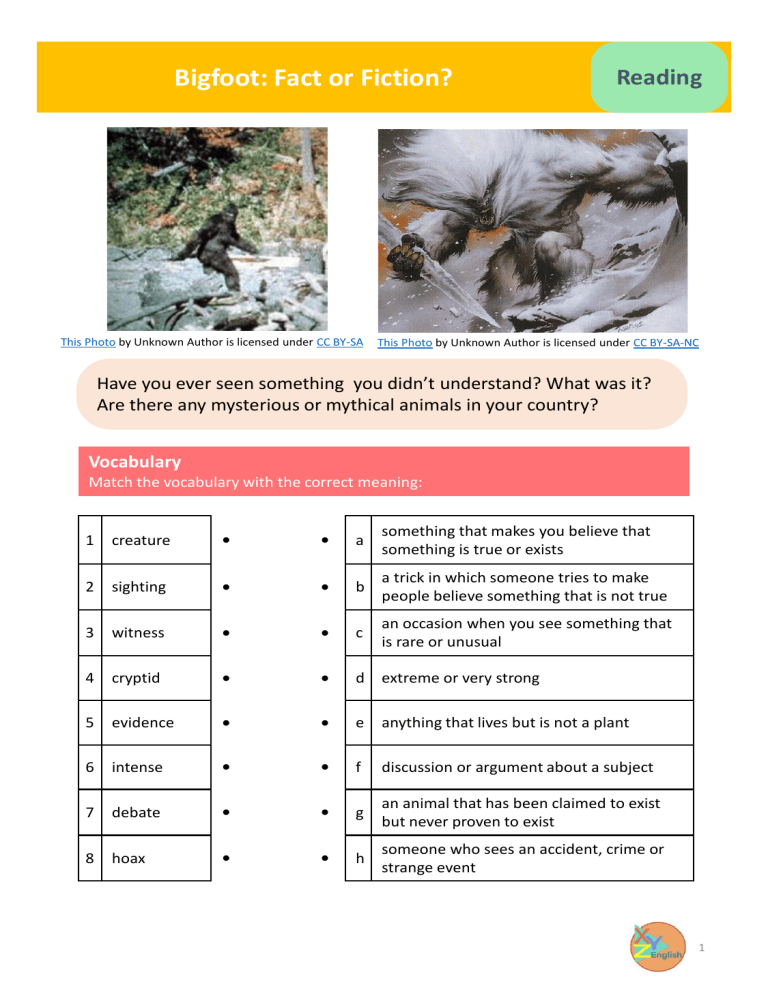 Bigfoot: Fact or Fiction? Worksheet