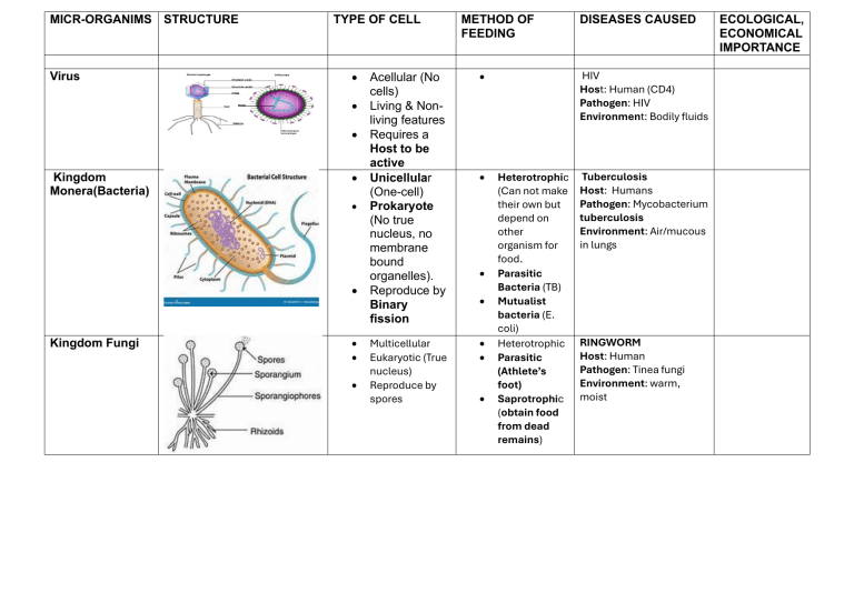 Microorganism Chart: Viruses, Bacteria, Fungi, Protists