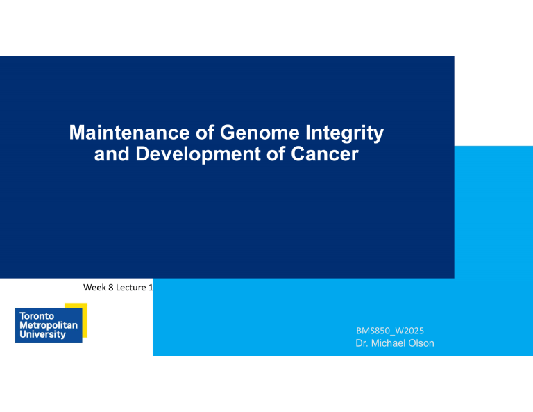 Genome Integrity & Cancer: DNA Repair Mechanisms