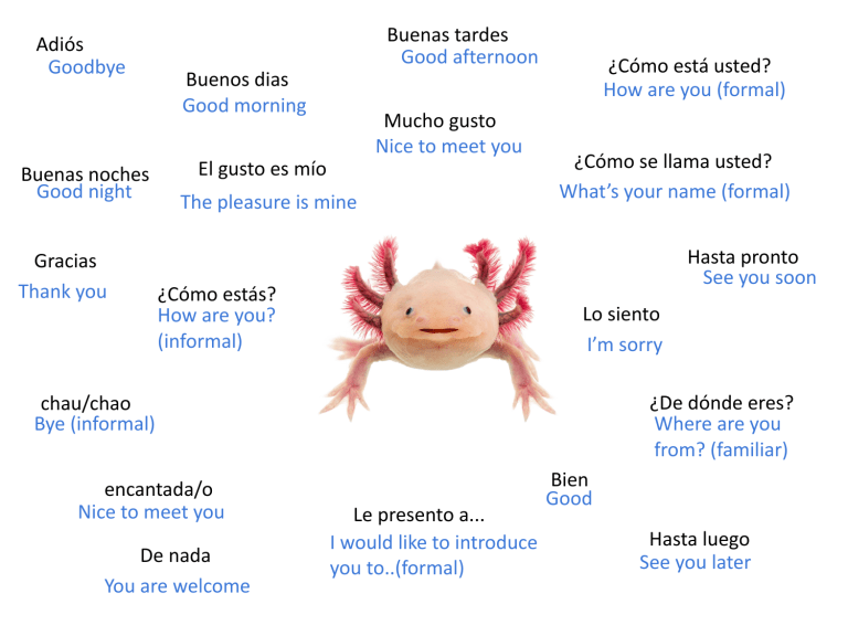 Spanish Phrases: Greetings & Basic Vocabulary
