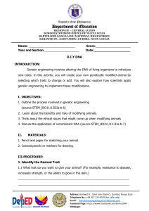 Math Accomplishment Report: Elementary School Activities
