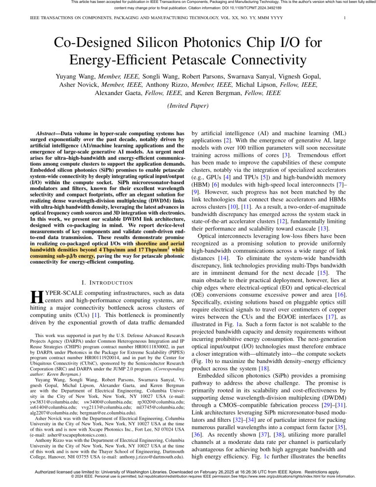 Silicon Photonics Chip I/O for Petascale Connectivity