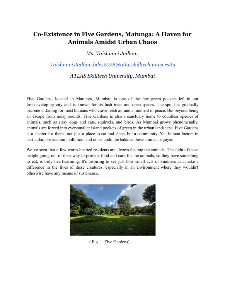Co-Existence in Five Gardens: Animals & Urban Life