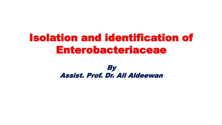 Enterobacteriaceae Isolation & Identification: A Microbiology Guide