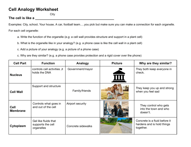Cell Analogy Worksheet: City as a Cell Model