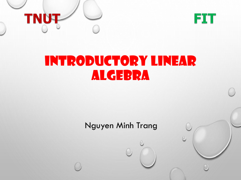 Introductory Linear Algebra Presentation