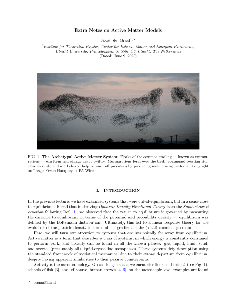 Active Matter Models: Lecture Notes on Self-Propelled Particles