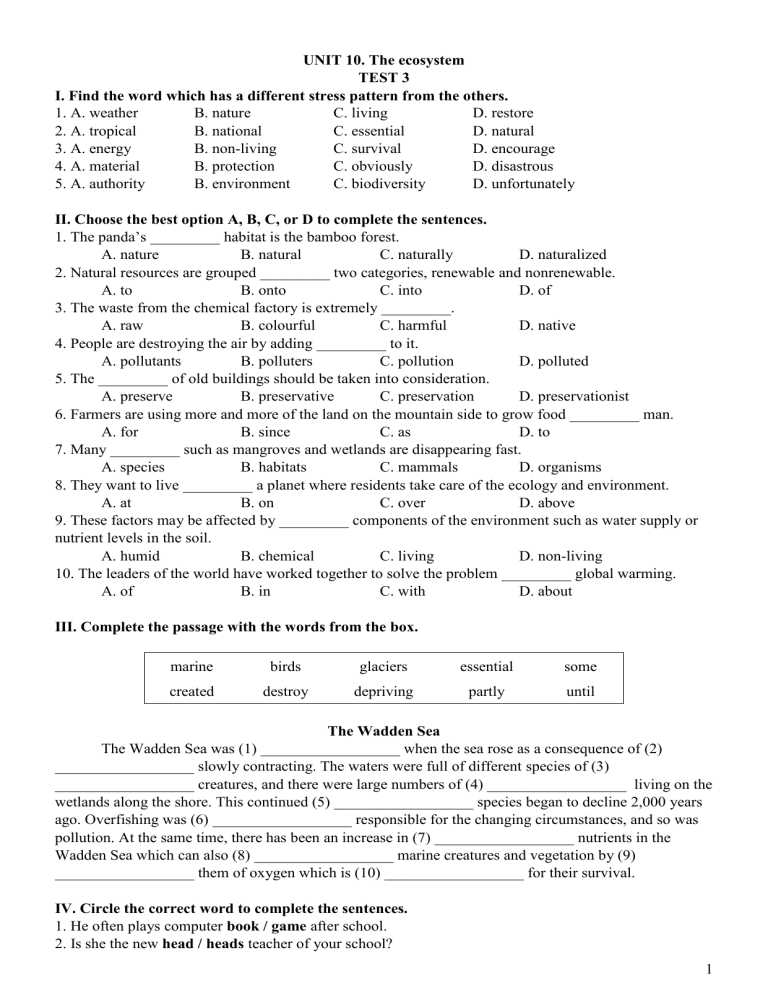 Ecosystem Test: Vocabulary, Grammar, and Comprehension