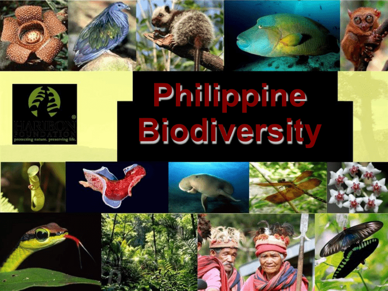 Philippine Biodiversity: Endangered & Endemic Species