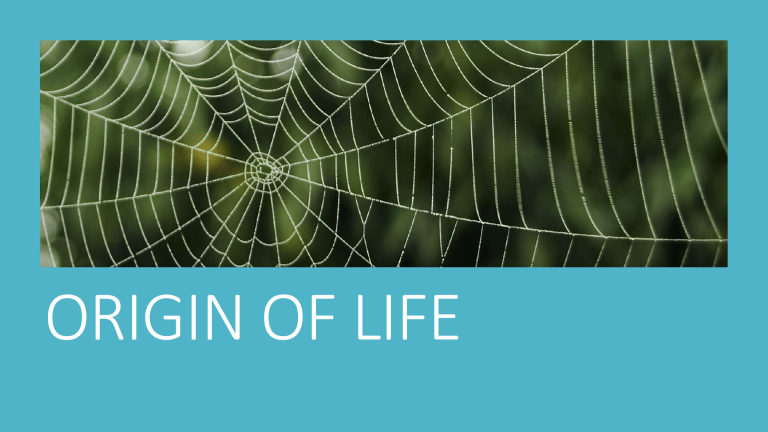 Origin of Life: Biology Fundamentals & Characteristics
