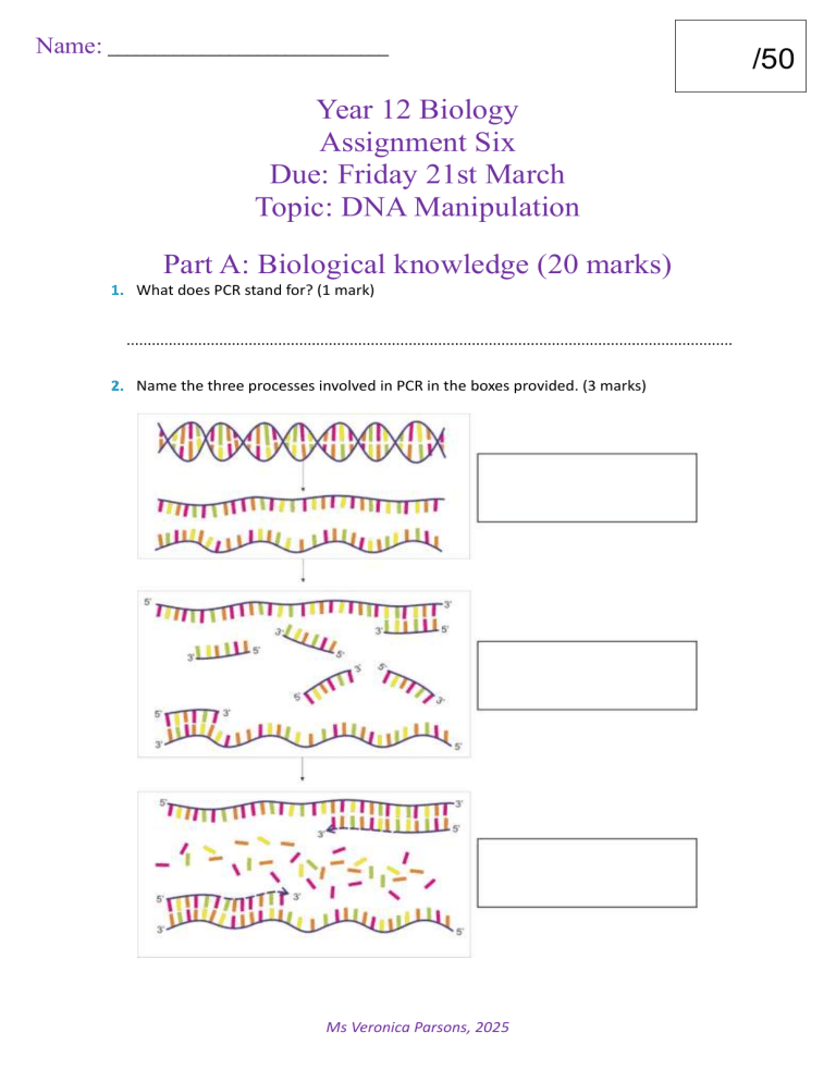 DNA Manipulation Assignment: PCR, Gel Electrophoresis