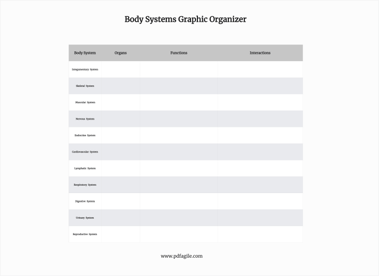 Body Systems Graphic Organizer
