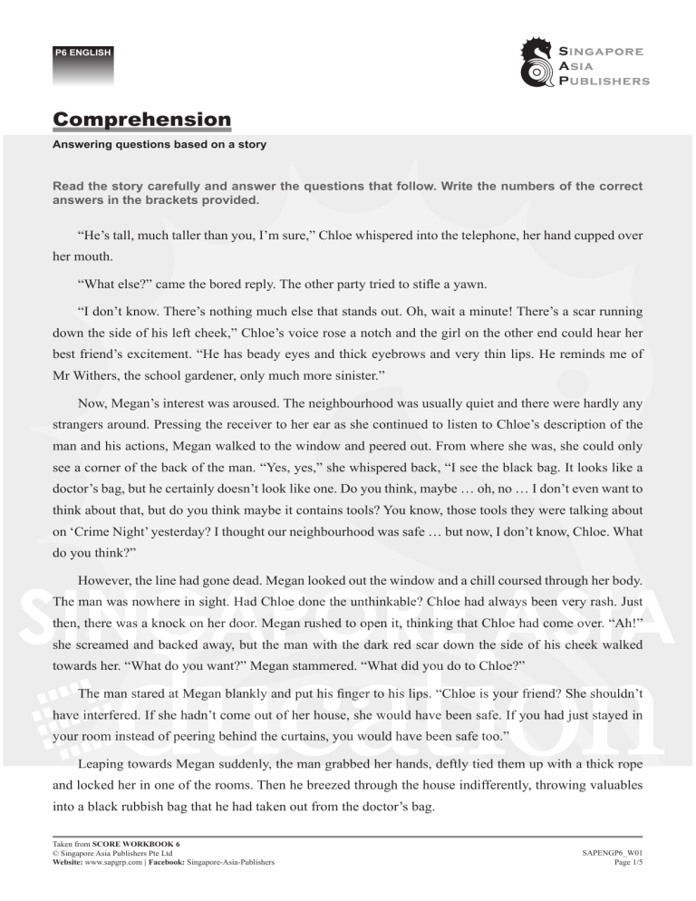 P6 English Comprehension & Grammar Workbook Page