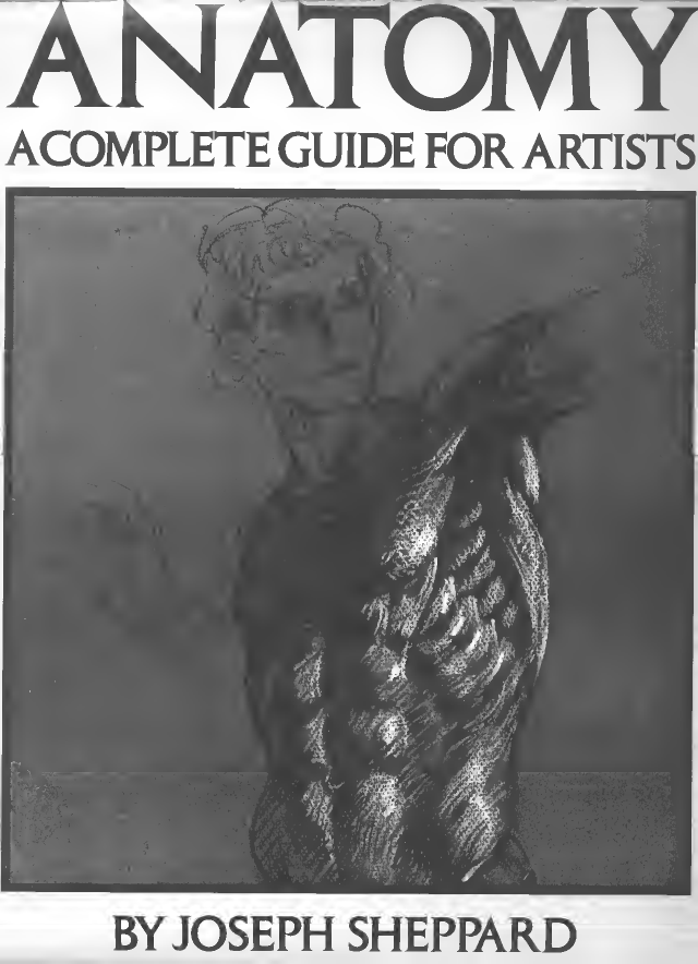 Anatomy Guide for Artists by Joseph Sheppard