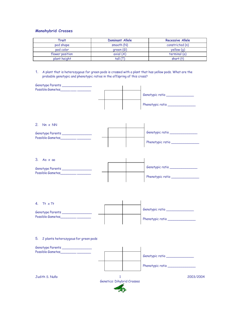 Monohybrid Crosses Worksheet: Genetics Problems