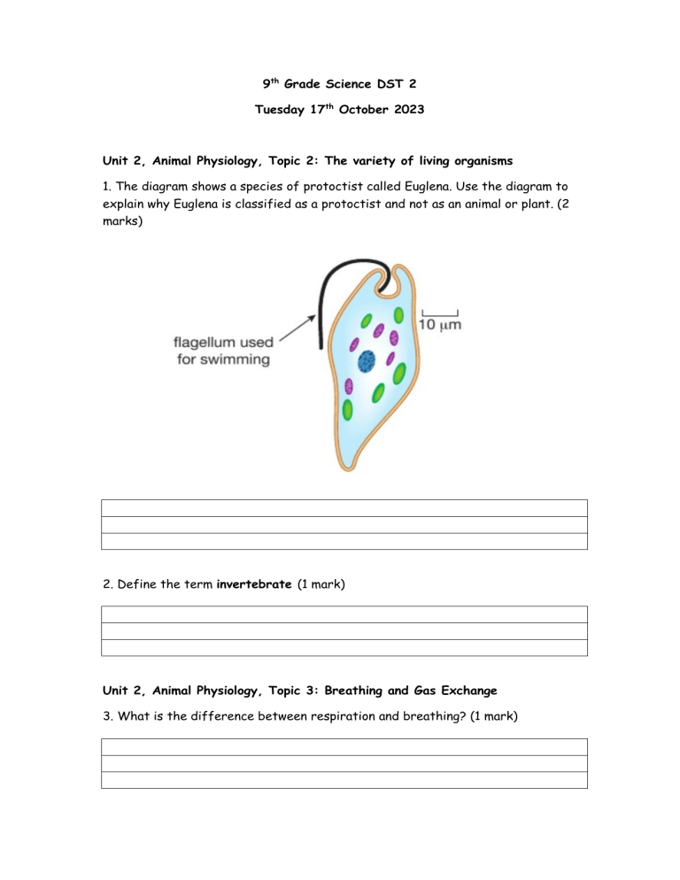 9th Grade Science Exam: Animal Physiology