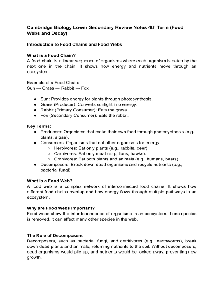 Food Webs & Decay: Cambridge Biology Review Notes