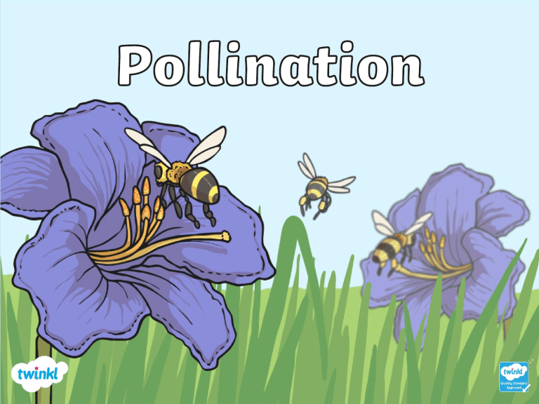 Pollination: Flower Parts, Insects, and Plant Reproduction