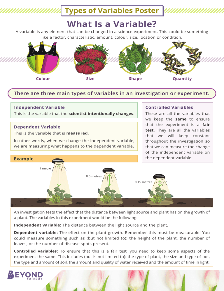 Types of Variables: Independent, Dependent & Controlled