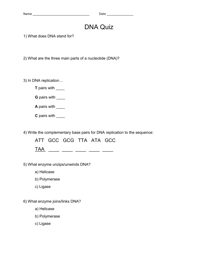 DNA Quiz: Structure, Replication, and Central Dogma