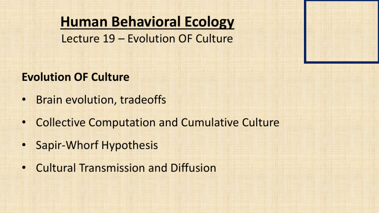 Evolution of Culture: Brains, Computation, and Language