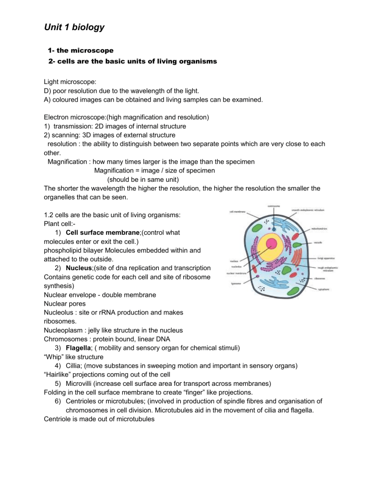 Unit 1 Biology: Microscopy & Cell Structure Notes