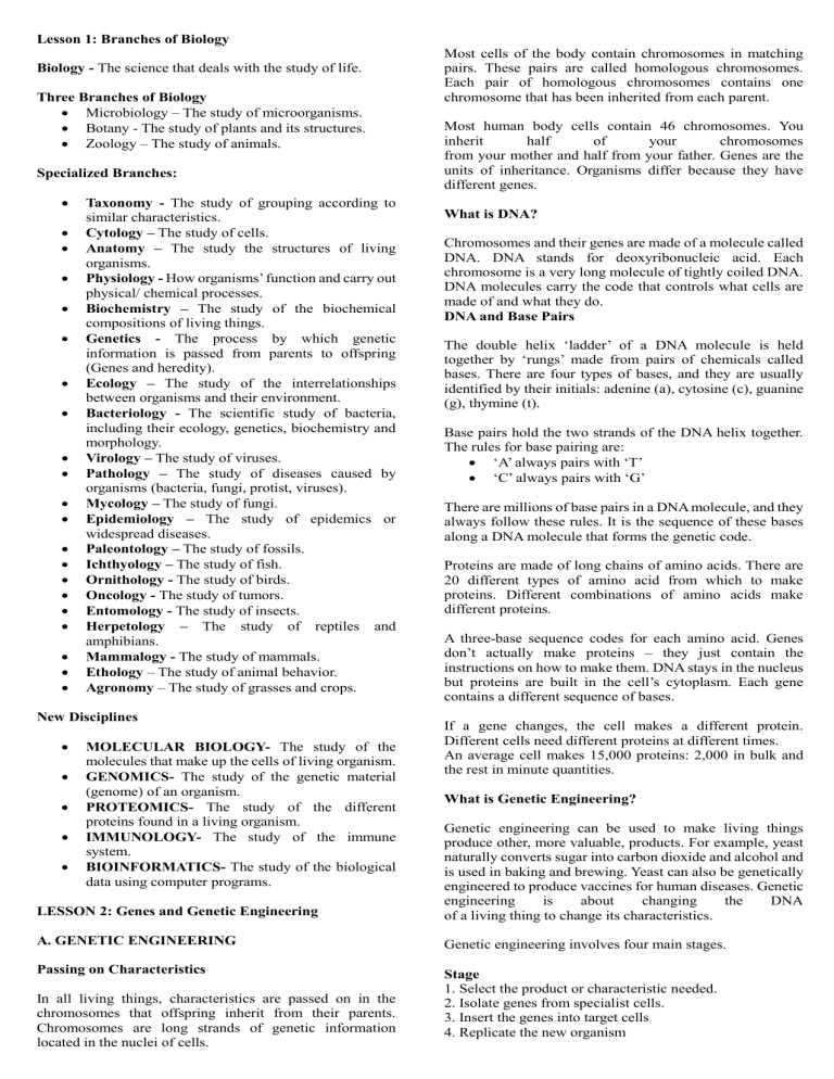 Biology: Branches, DNA, and Genetic Engineering Lesson