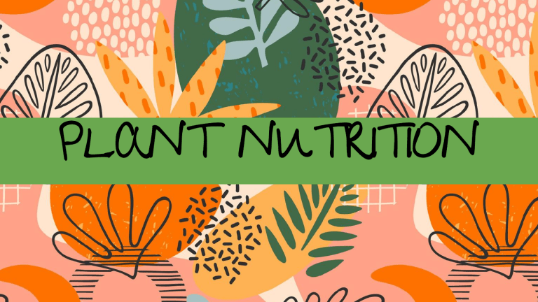 Plant Nutrition: Photosynthesis & Plant Parts