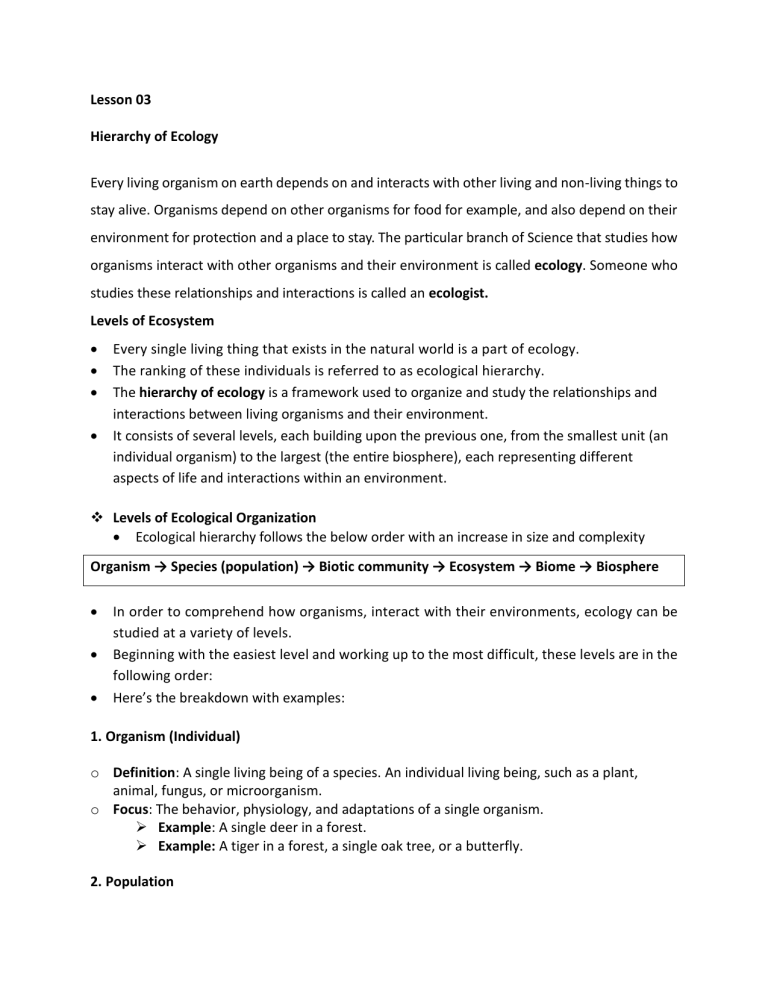 Hierarchy of Ecology: Levels of Organization Explained