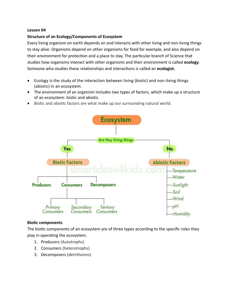 Ecology: Ecosystem Structure & Components - Lesson 04