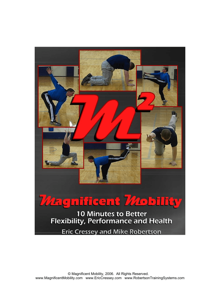 Magnificent Mobility: Flexibility & Performance Guide