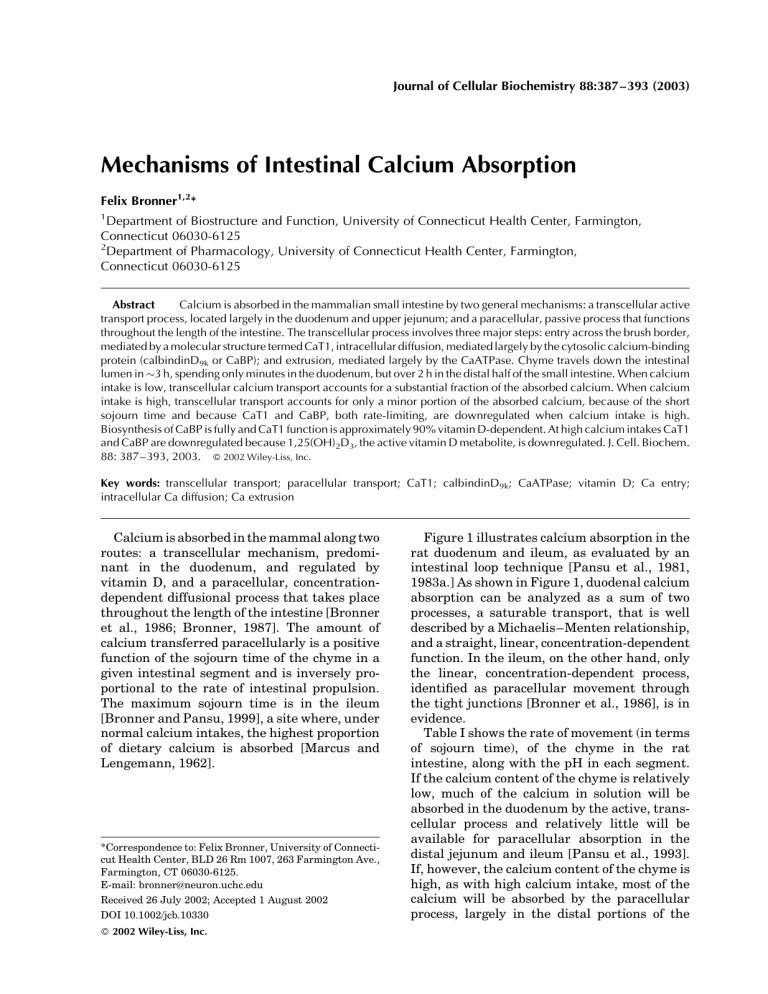 Intestinal Calcium Absorption Mechanisms: A Review