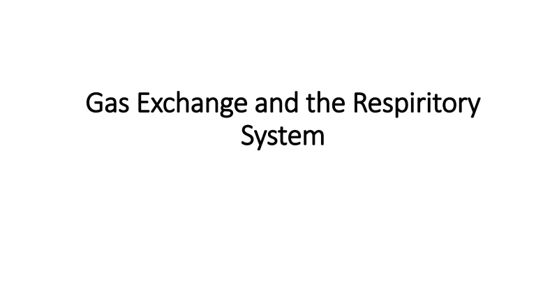 Gas Exchange & Respiratory System: A Biology Presentation